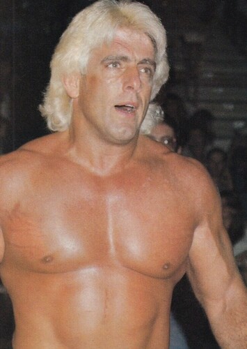 NWA (1984) Fan Casting on myCast