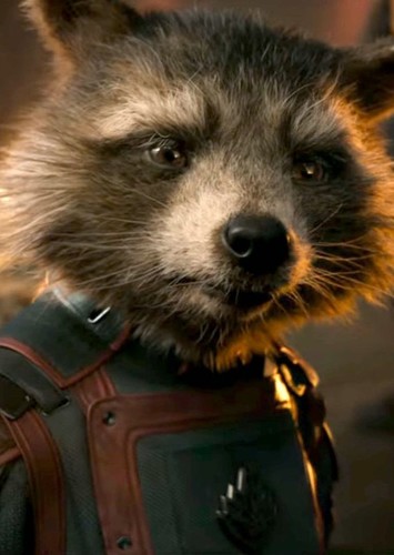 Rocket Raccoon Fan Casting for Guardians Of The Galaxy Vol. 4 ...