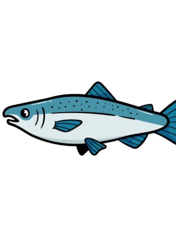 Salmon Fan Casting for North American Wildlife (Animated series ...