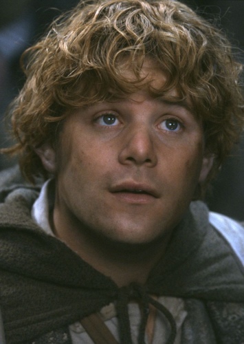 Samwise Gamgee Fan Casting for The Lord of the Rings Original Trilogy (2001-2003) | myCast - Fan ...