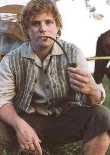 Samwise Gamgee Fan Casting for Don Bluth's The Lord of the Rings ...