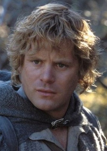 Samwise Gamgee / Sam Fan Casting for THE LORD OF THE RINGS | LOTR ...