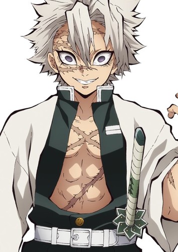 Sanemi Shinazugawa (Wind Hashira) Fan Casting for Demon Slayer | myCast ...