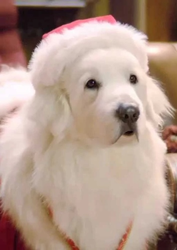 Santa Paws Fan Casting for The Search for Santa Paws | myCast - Fan ...