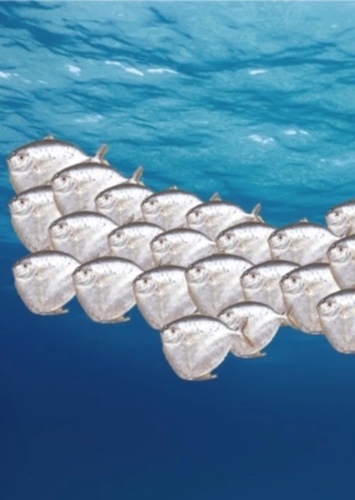 Fan Casting John Ratzenberger as School of Moonfish in Finding Nemo ...