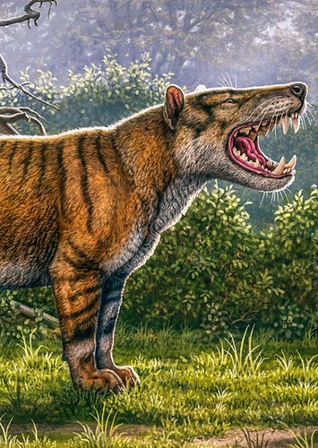 Simbakubwa Fan Casting for Prehistory | myCast - Fan Casting Your ...