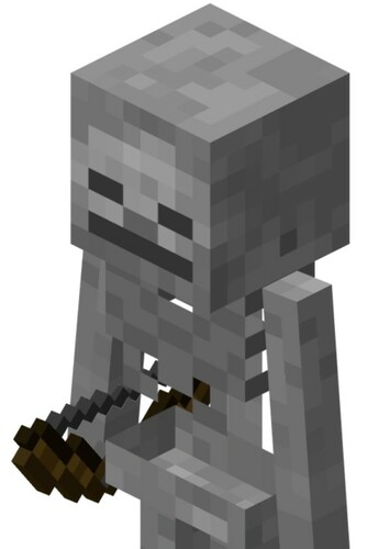 Skeleton Fan Casting for Minecraft | myCast - Fan Casting Your Favorite ...