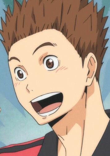 Matthew Labyorteaux Fan Casting