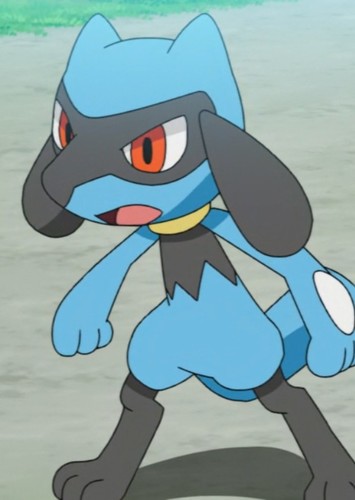 Sonic's Riolu Fan Casting for Sonic in the Pokemon World | myCast - Fan ...