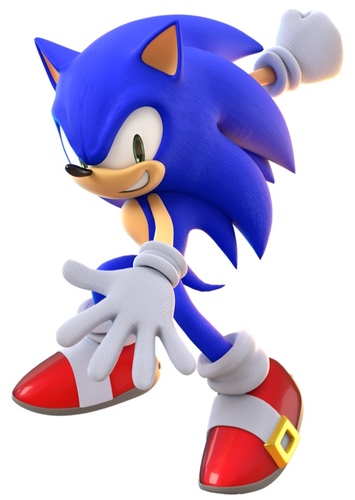 Chase The Hedgehog