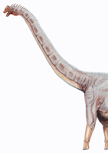 Sonorasaurus Fan Casting for Prehistory | myCast - Fan Casting Your ...