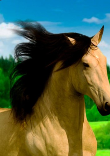 Spirit Fan Casting for Spirit: Stallion of the Cimarron (live-action ...