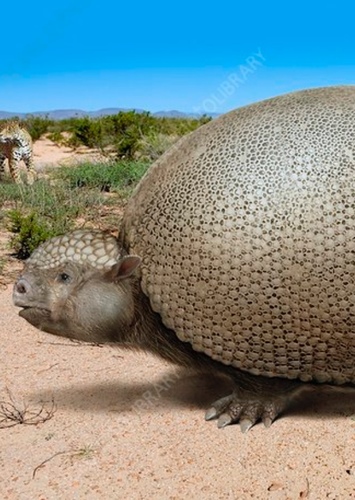 Stu Fan Casting for Ice Age: The Meltdown (2026) | myCast - Fan Casting ...