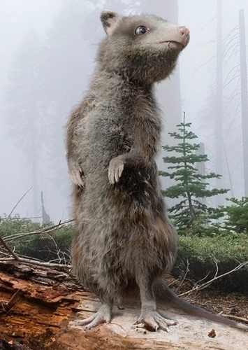 Trinity Bliss on myCast - Fan Casting Your Favorite Stories