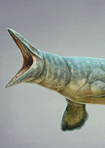 Taniwhasaurus Fan Casting for Prehistory | myCast - Fan Casting Your ...