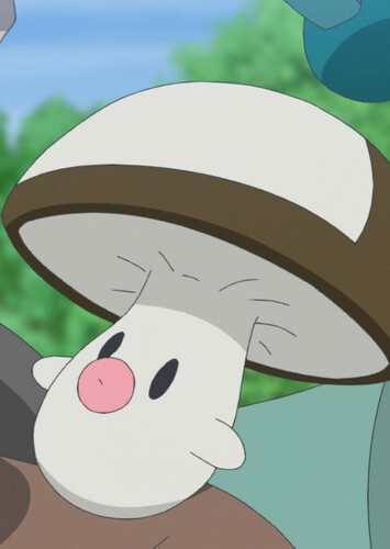 Bill Rogers Fan Casting