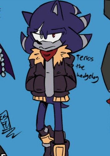 Terios The Hedgehog Fan Casting for The amazing Stealth the Hedgehog ...