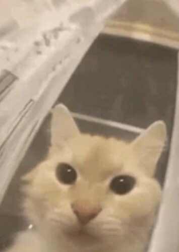 The Beast Fan Casting for Silly Cats | myCast - Fan Casting Your Favorite Stories