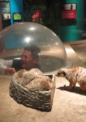 The Maritime Aquarium at Norwalk Fan Casting for If this Animal Species ...