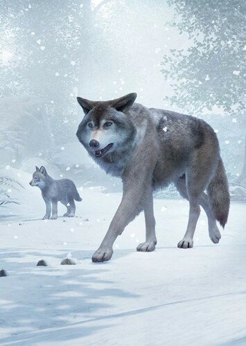 Timber Wolf Fan Casting for Planet Zoo | myCast - Fan Casting Your ...