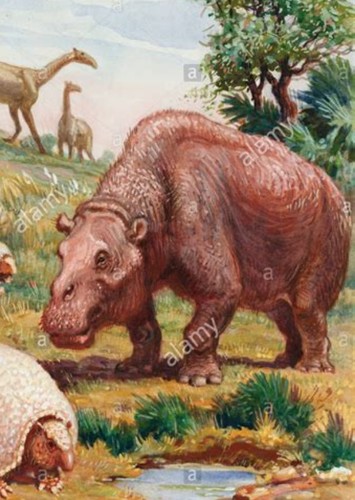 Toxodon Fan Casting for Prehistory | myCast - Fan Casting Your Favorite ...