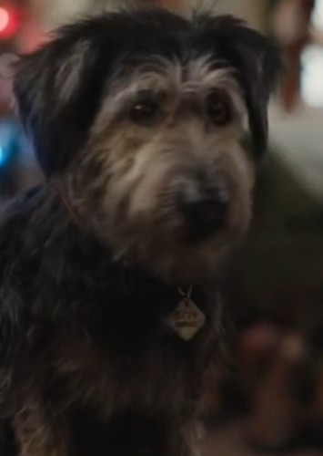 Monte (Dog) Fan Casting