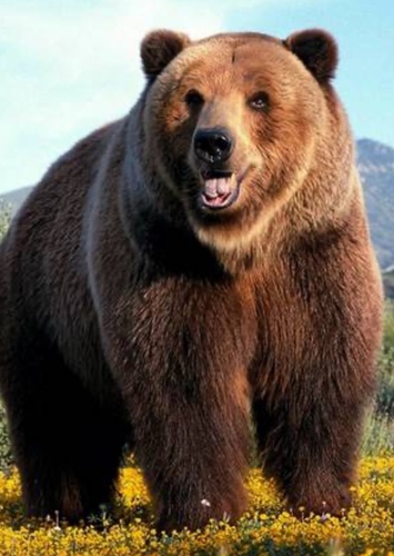 Trevor Fan Casting for The Wild (2026) | myCast - Fan Casting Your Favorite Stories