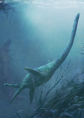 Tuarangisaurus Fan Casting for Prehistory | myCast - Fan Casting Your ...