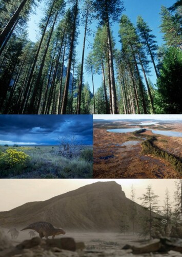 Two Medicine Formation Fan Casting for Prehistoric Wildlife by Fossil ...