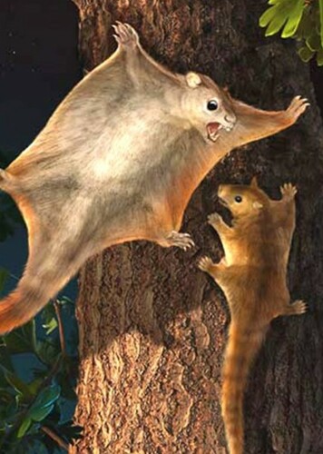 Volaticotherium Fan Casting for Prehistory | myCast - Fan Casting Your ...