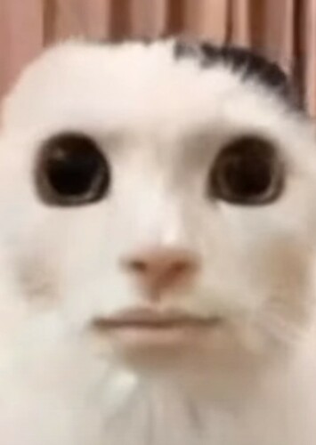 Wake Me Up Fan Casting for Silly Cats | myCast - Fan Casting Your Favorite Stories