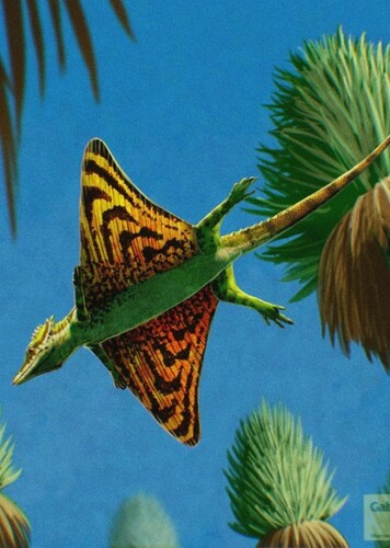 Weigeltisaurus Fan Casting for Prehistory | myCast - Fan Casting Your ...