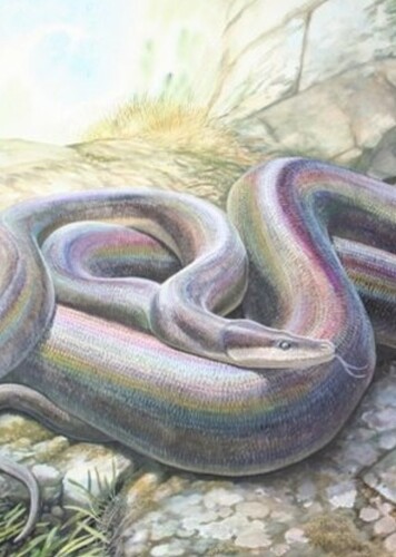 Wonambi Fan Casting for Prehistory | myCast - Fan Casting Your Favorite ...