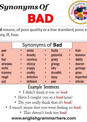 Find an Actor to Play Worst in Best And Worst Christmas Movies on myCast