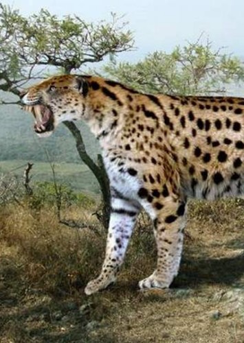 Xenosmilus Fan Casting for Prehistory | myCast - Fan Casting Your ...