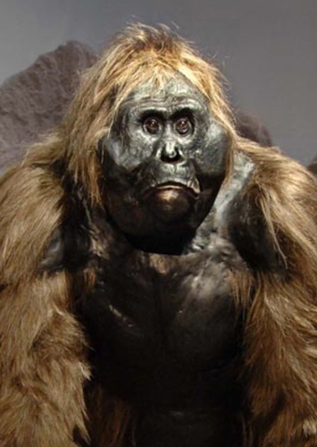 Yeren Fan Casting for Super Godzilla Friendship | myCast - Fan Casting ...