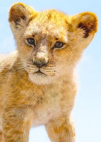 Young Simba Fan Casting for The Lion King 1½ (2024) | myCast - Fan ...
