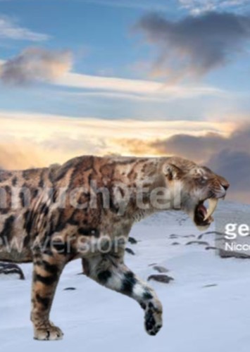 Zake Fan Casting for Ice Age Live Action | myCast - Fan Casting Your ...