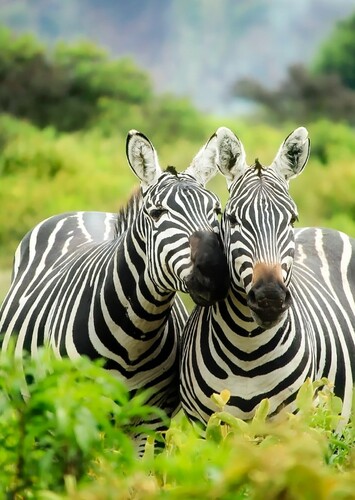 Nature (TV Program) Fan Casting on myCast