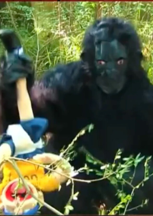 Human 30 Fan Casting for 100 v. Gorilla | myCast - Fan Casting Your ...