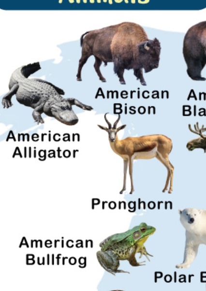 Star Trek Prodigy: Supernova on myCast - Fan Casting Your Favorite Stories