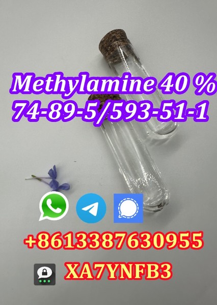 Knuckles the Echidna Fan Casting for Sonic Armageddon (2000's) | myCast ...