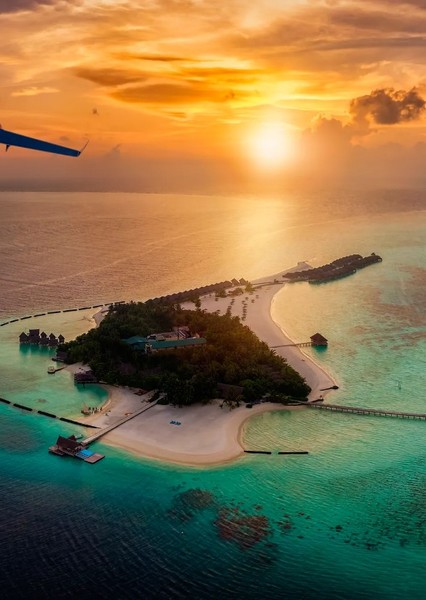 Find an Actor to Play Knifehead in Evangelion Aot Godzilla Singular ...