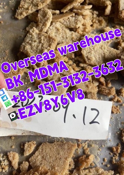 Writer Fan Casting for SONIC THE NEXT GENARTION (V2) | myCast - Fan ...