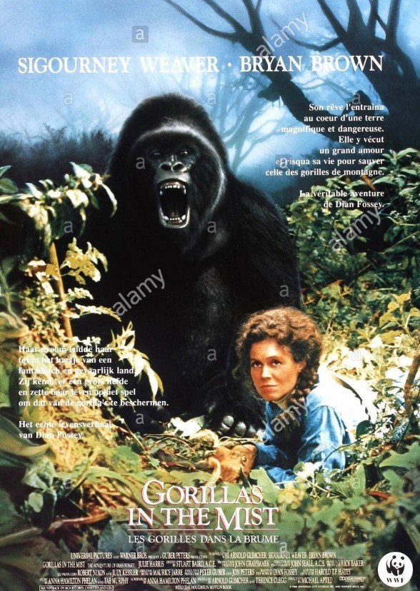 Gorillas in the Mist Fan Casting on myCast