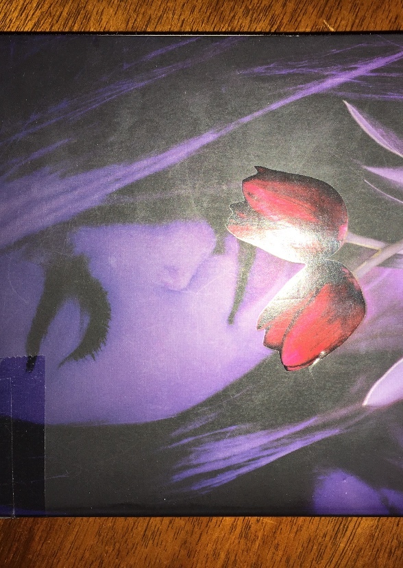 Evermore Fan Casting on myCast