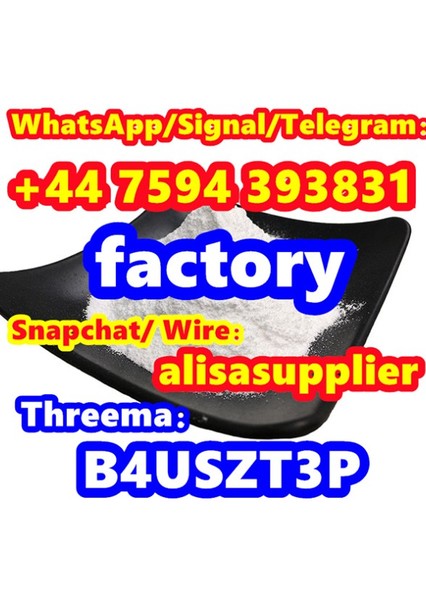 Hamlet Fan Casting on myCast