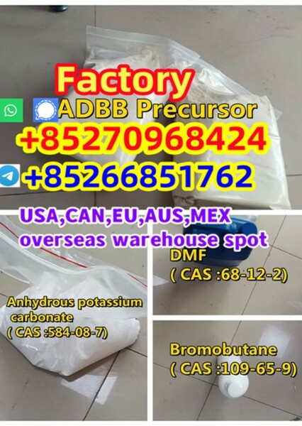 Mortal Kombat: The Sub-Zero Chronicles Fan Casting on myCast