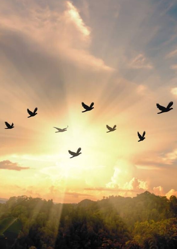 Remolding Eden Fan Casting for A Blueprint for Harmony of Constructing Peace | myCast - Fan ...