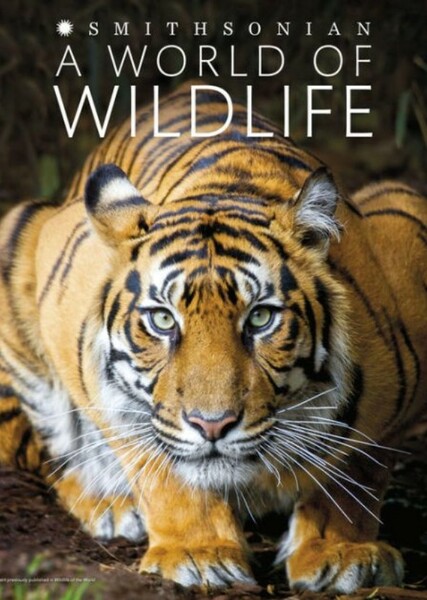 A World of Animals (TV Series) Fan Casting on myCast